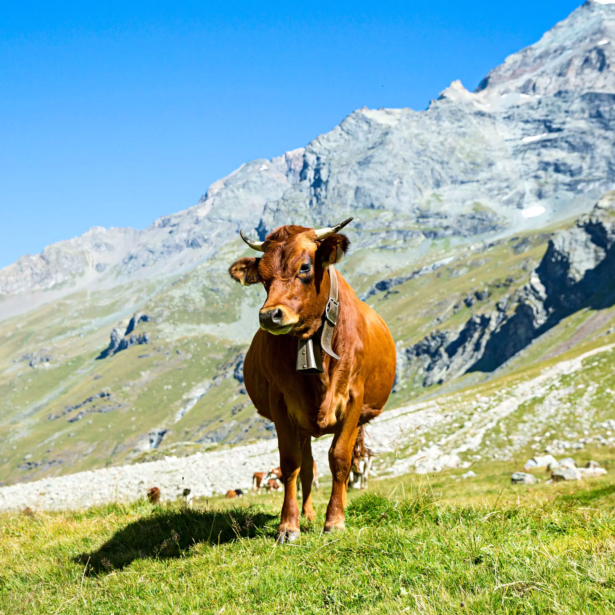 Lokacin bazara a Savoie