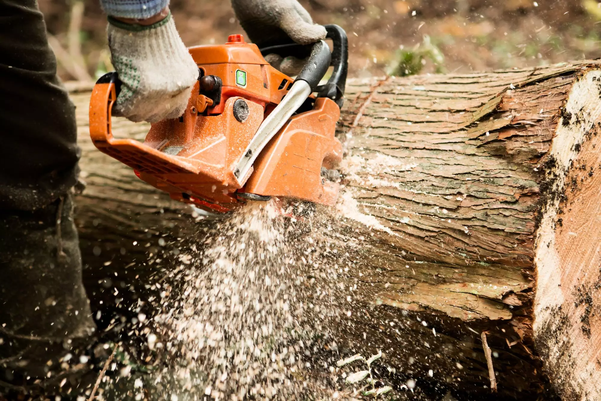 Puutavara, joka leikkaa puuta moottorisahalla