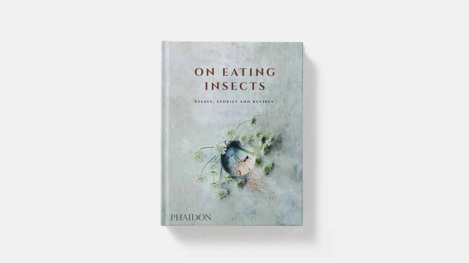 За јадење инсекти