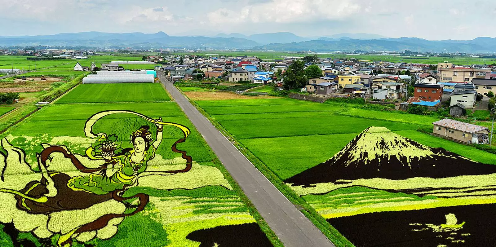 Duba Wannan Cikakken Rice Paddy Art