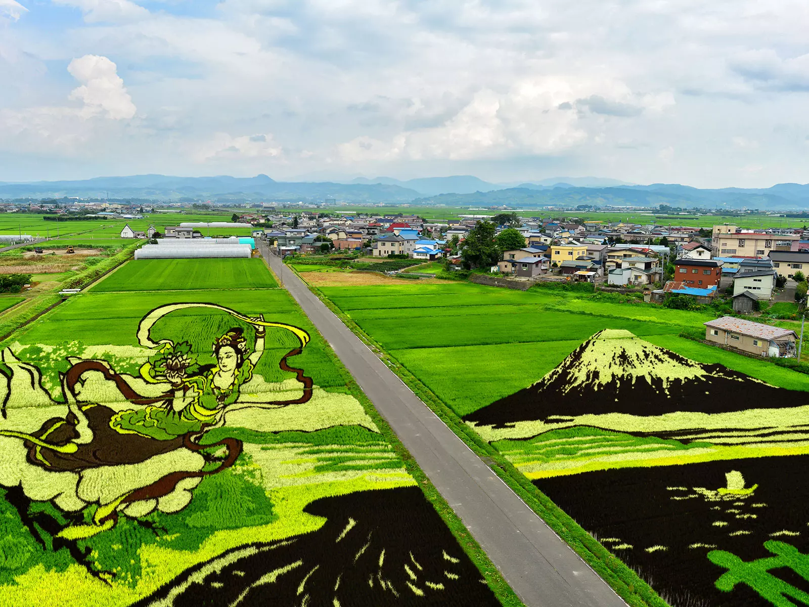 Stadt in Japan macht Reispastetchenkunst