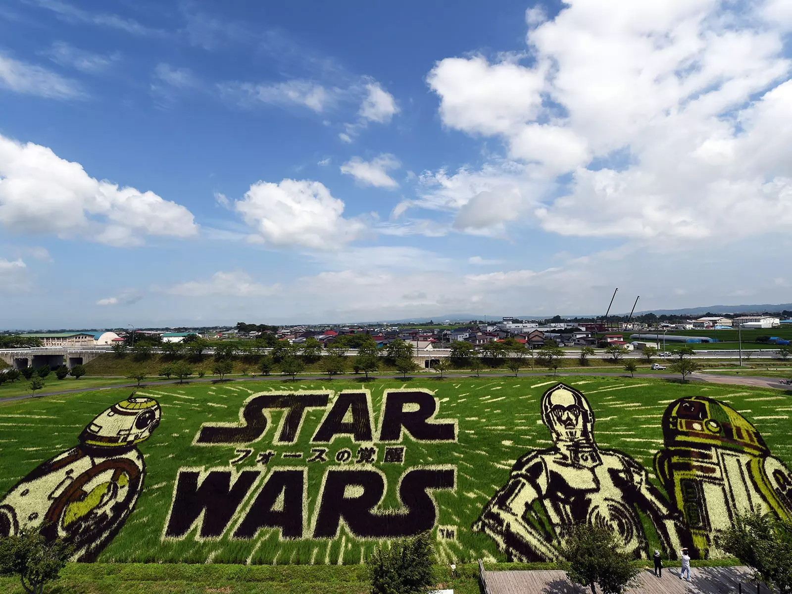 Rais Patty Art Star Wars