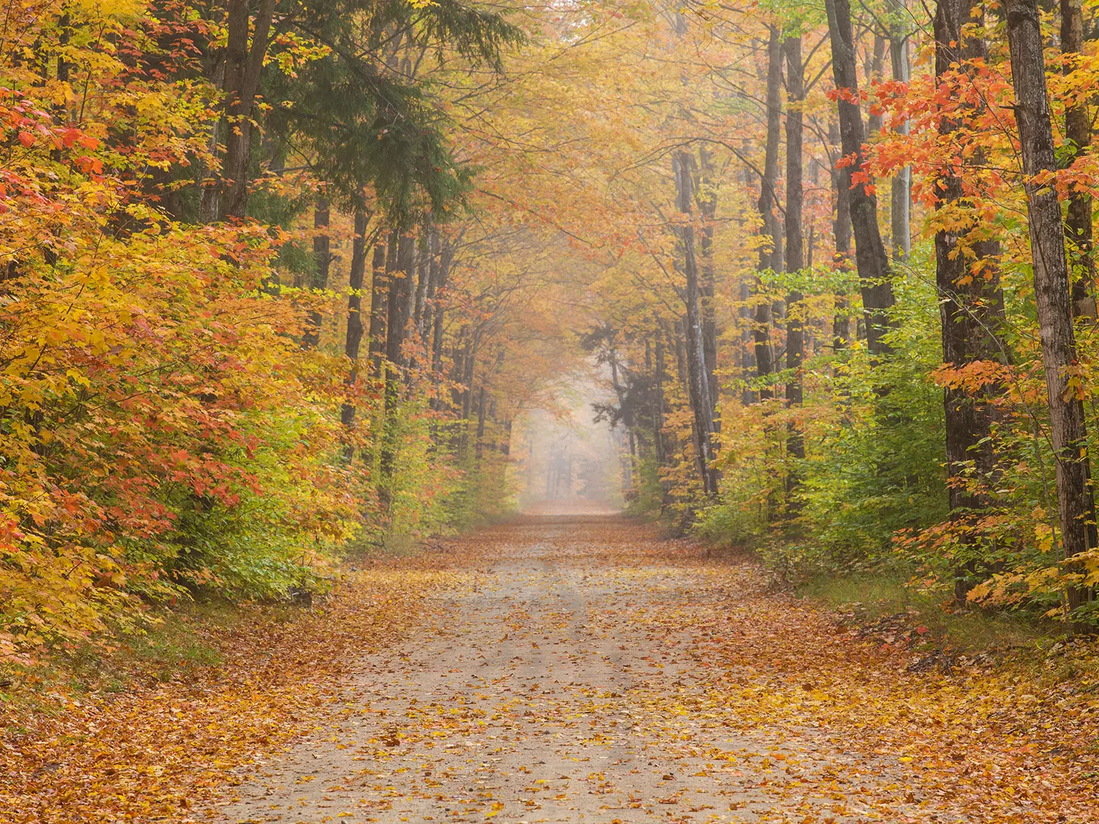 michigan fall pilegrimsreise