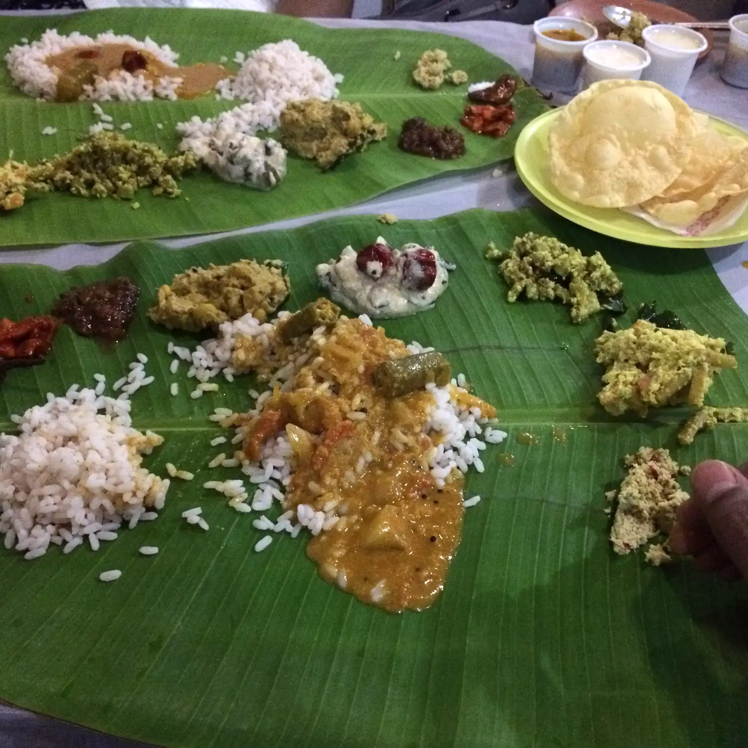 ಮುಂಬೈನಲ್ಲಿ ಫ್ಲಾಯ್ಡ್ ಕಾರ್ಡೋಜ್