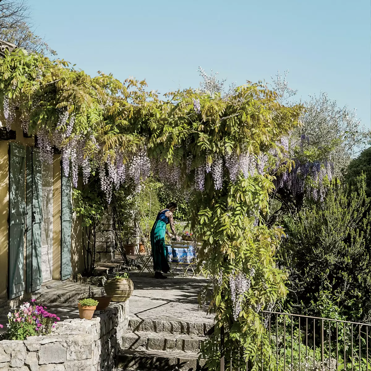 Julia Mtoto, Provence