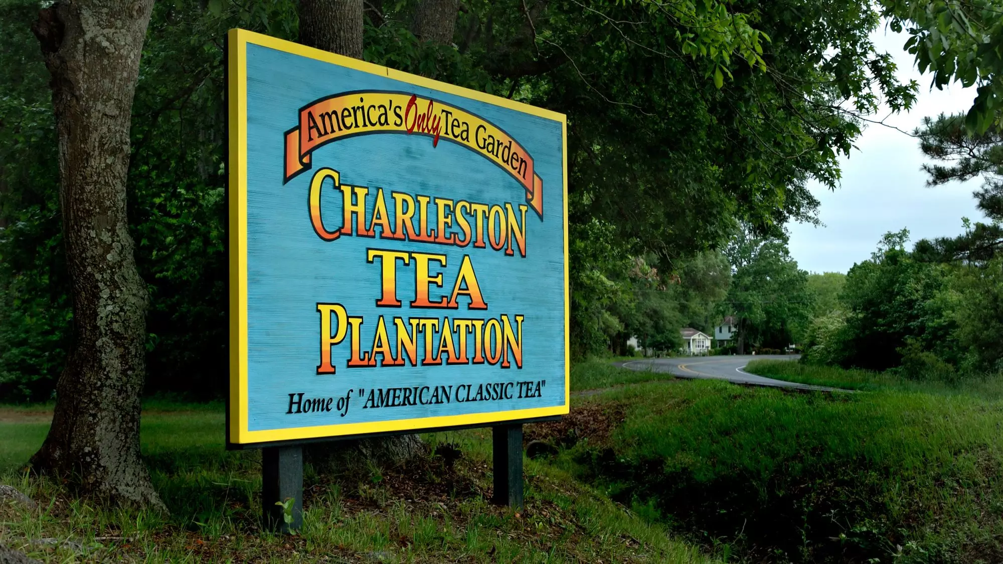 Plantación de té de Charleston