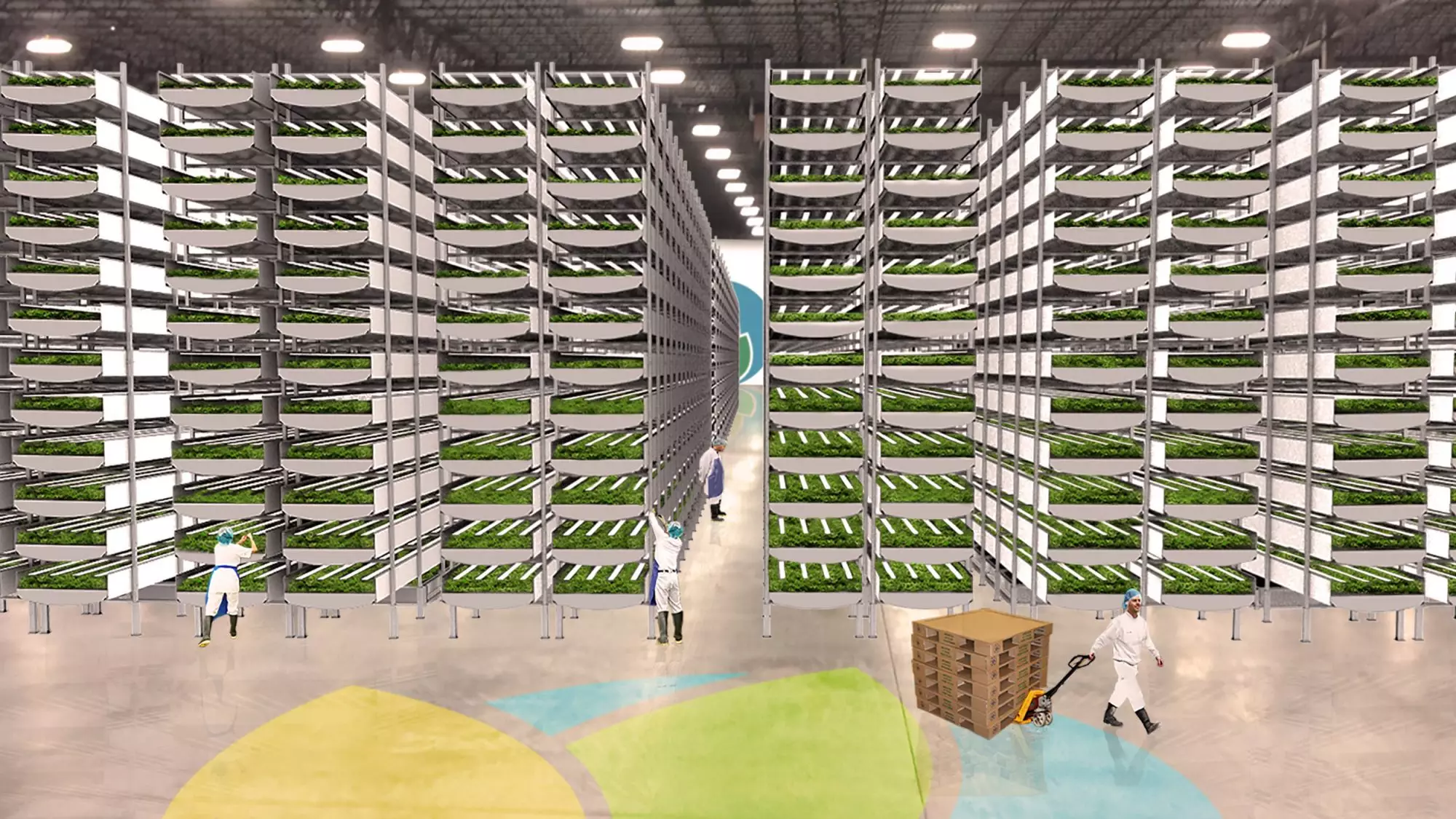 AeroFarms Sab Hauv Tsev Vertical Farming