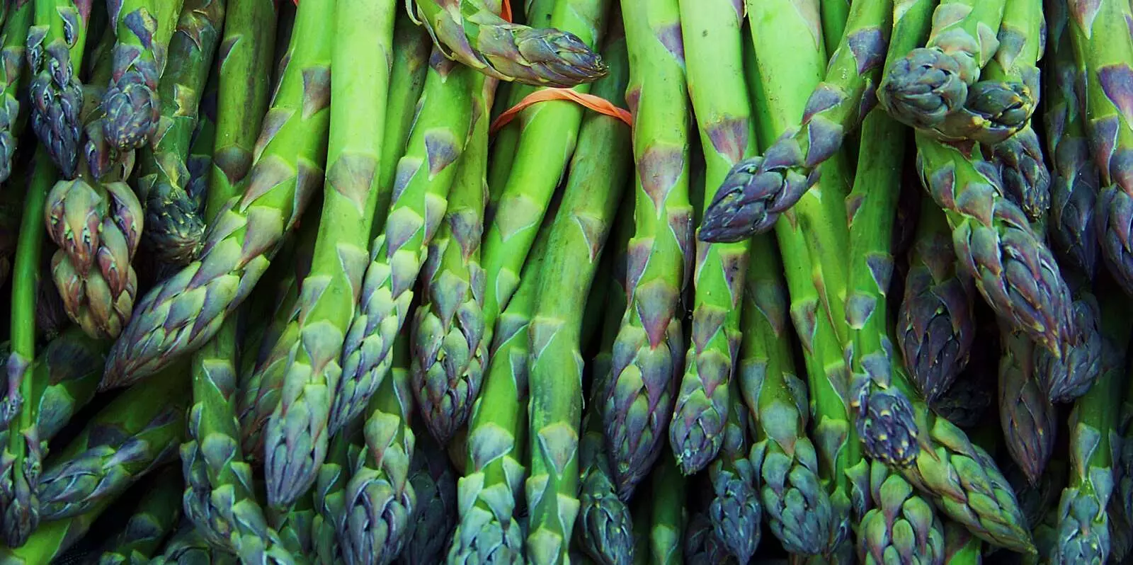 5 aliments extrêmement printaniers à manger dès maintenant, selon le chef Anthony Sasso