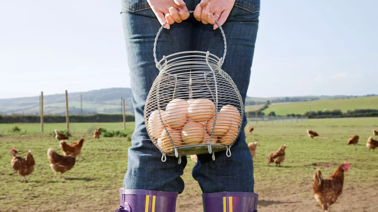 I-cage-free-eggs-surplus-FT-BLOG0617.jpg