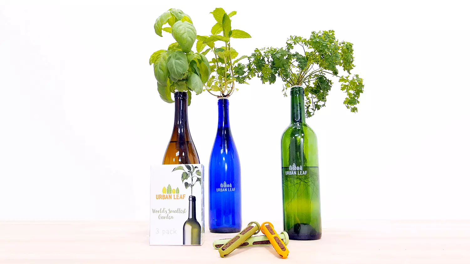 trädgårdar i vinflaskor