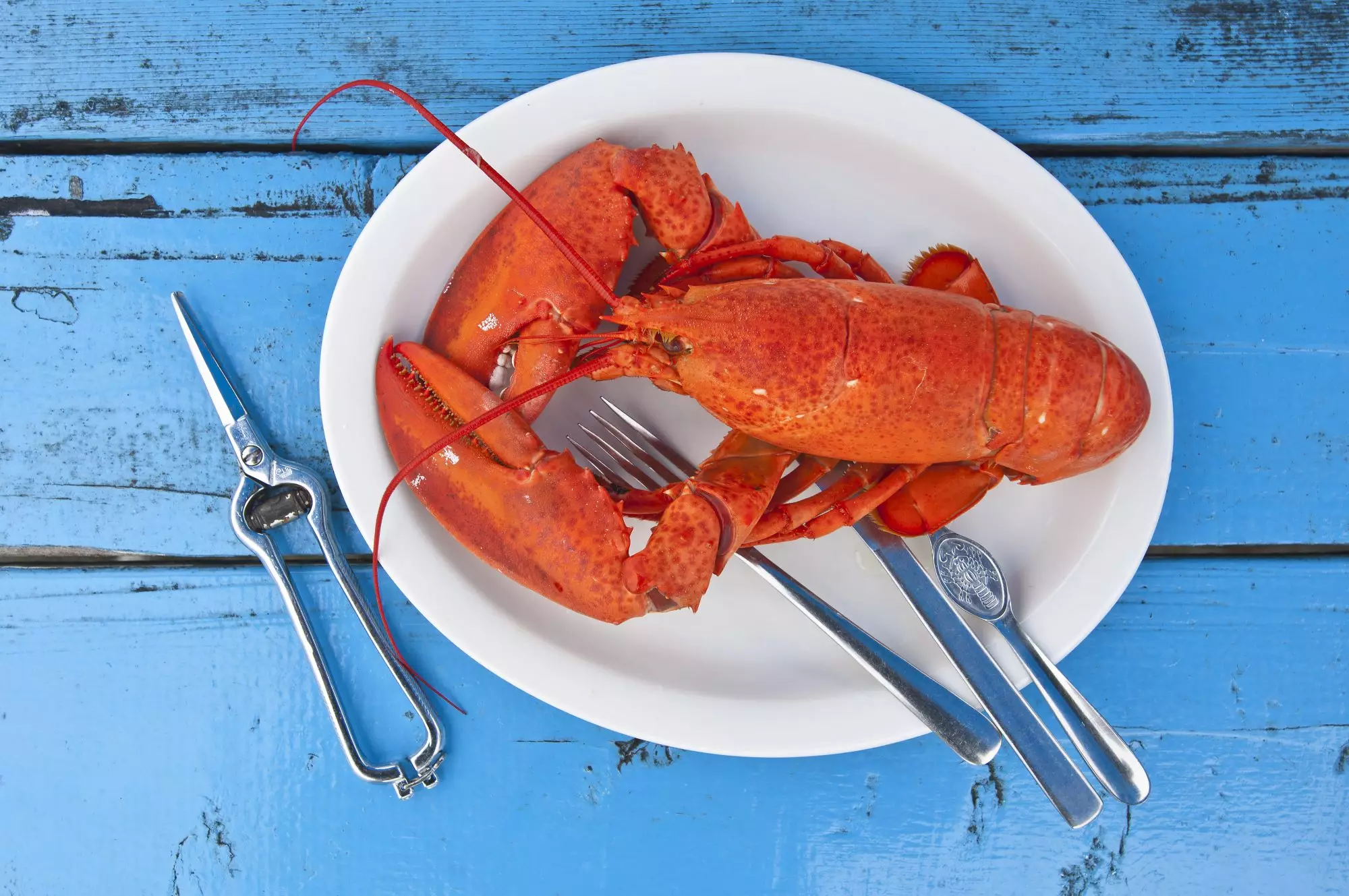 10-lobster-makanan laut