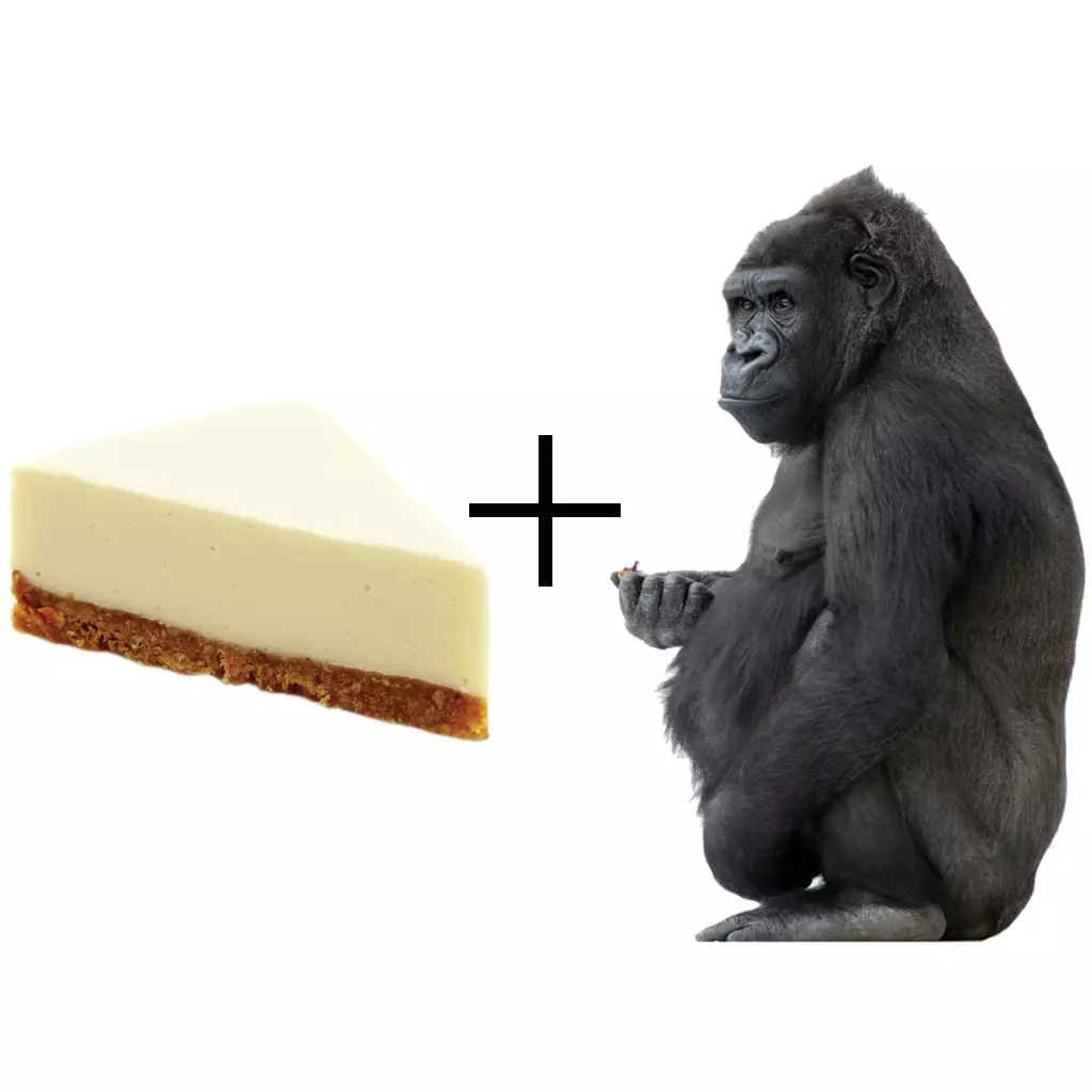 FWX KITCHEN Dreckskëscht GORILLA CHEESECAKE