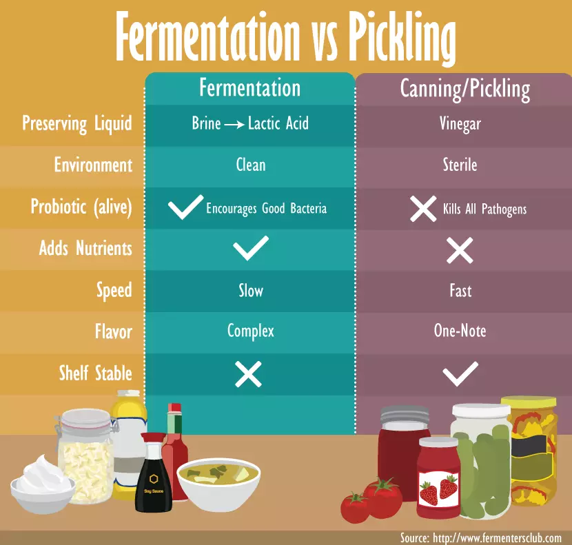 ការ fermentation ទល់នឹង Pickling