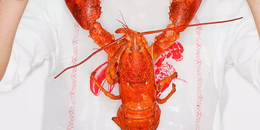 Et c'est pourquoi nous n'apportons pas de homards vivants dans un avion