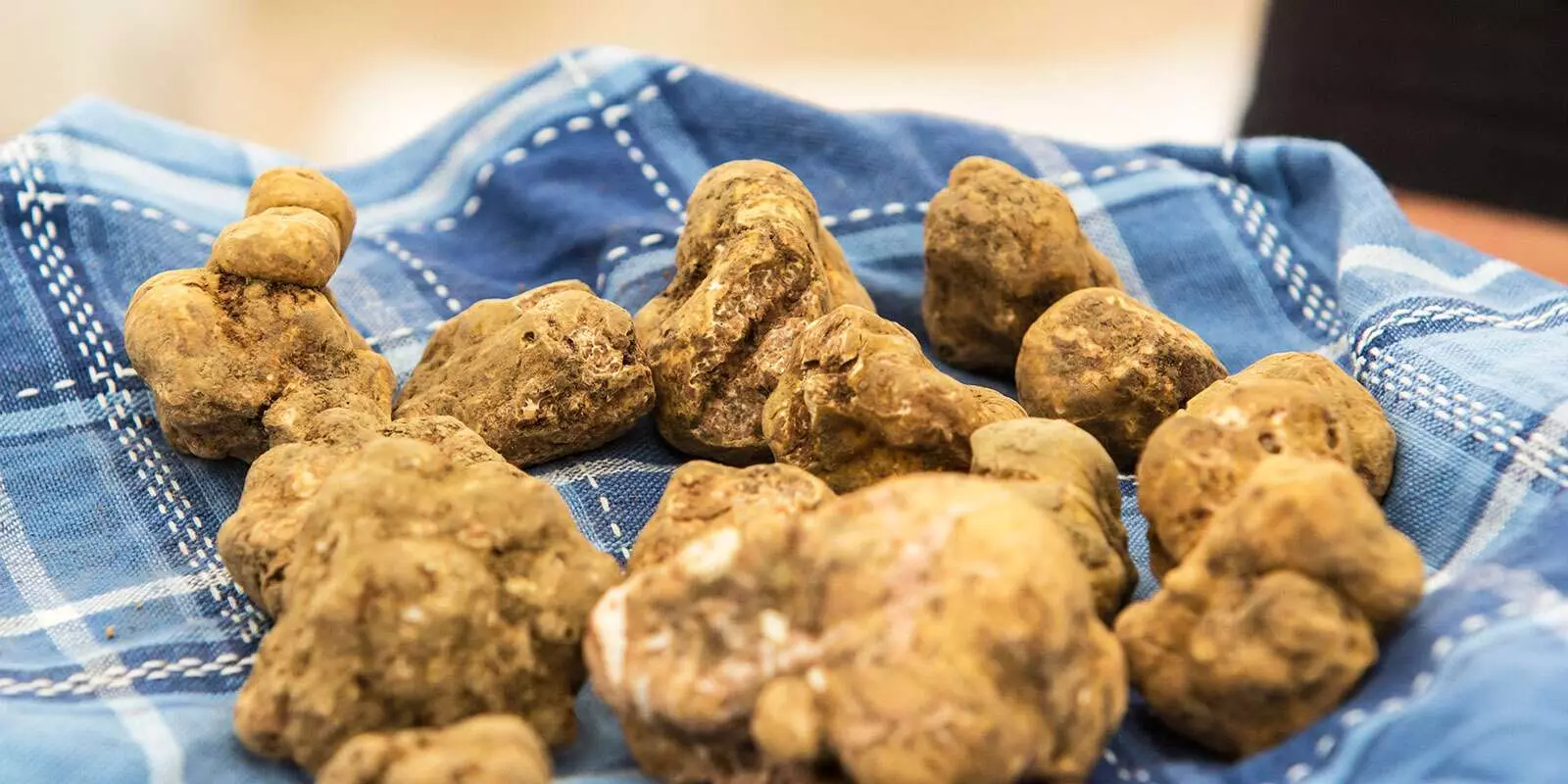 Ang Mga Presyo ng White Truffle ay Halos Doble Kung Kumpara Noong nakaraang Taon