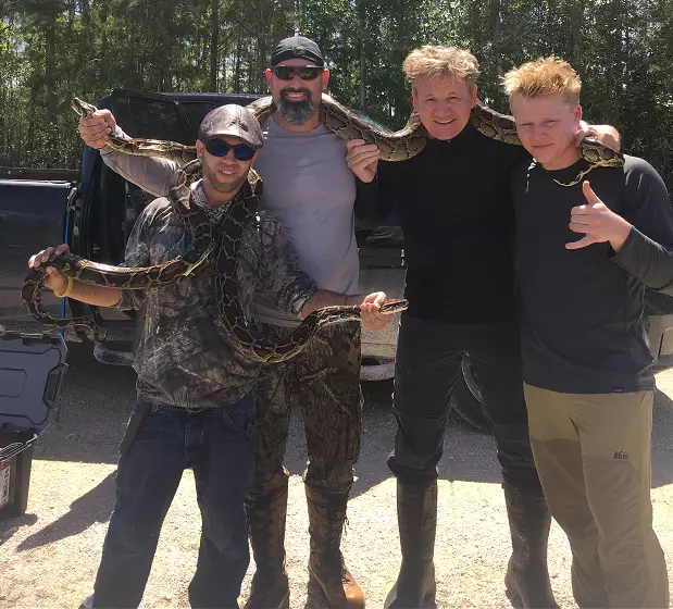 Gordon Ramsay a caccia di pitoni in Florida.