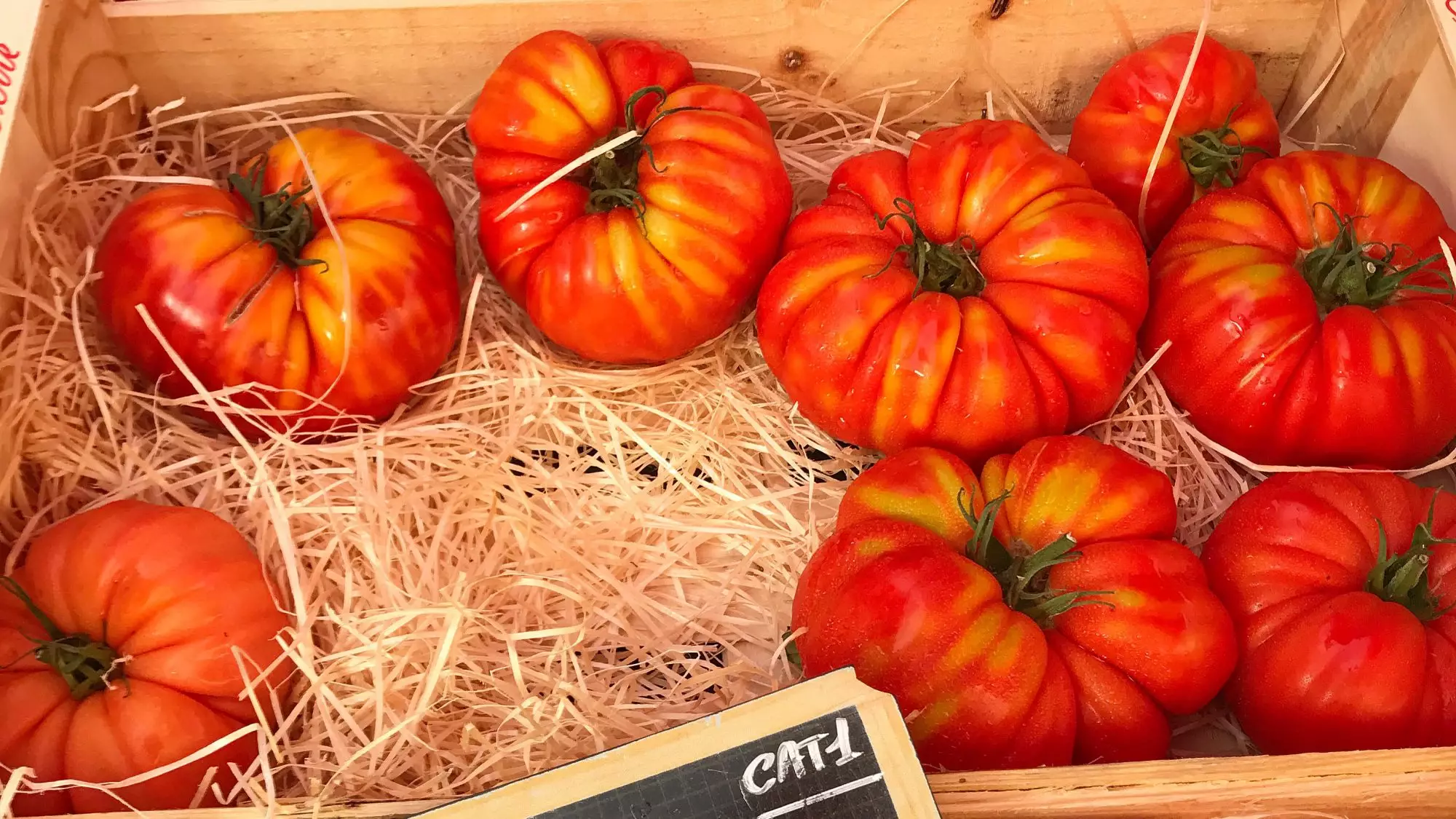 tomato-history-blog0717