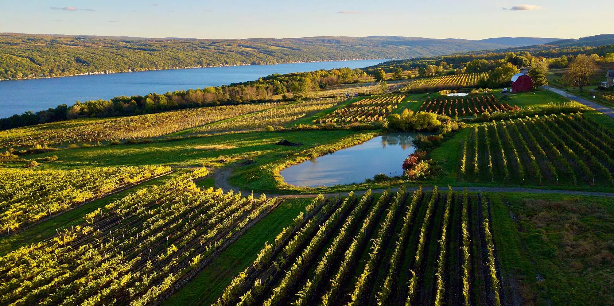 Kam v jezerech Finger Lakes zajít na nejlepší sladká vína v zemi